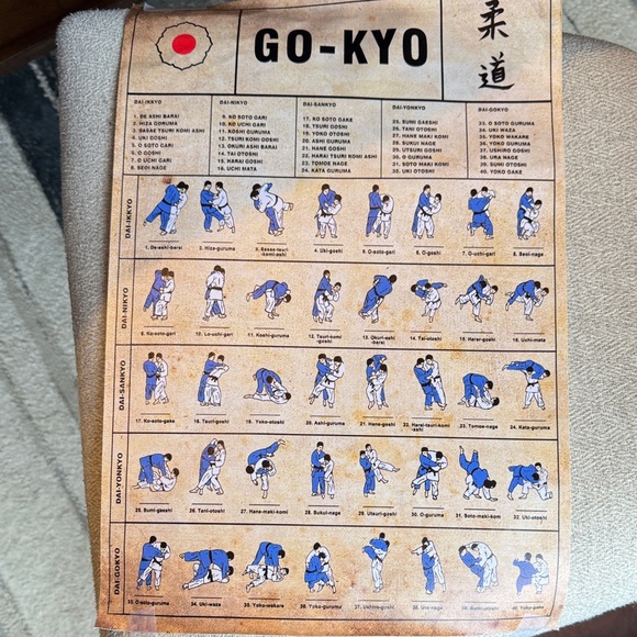 Art | Judo Technique Chart Poster Nwot | Poshmark